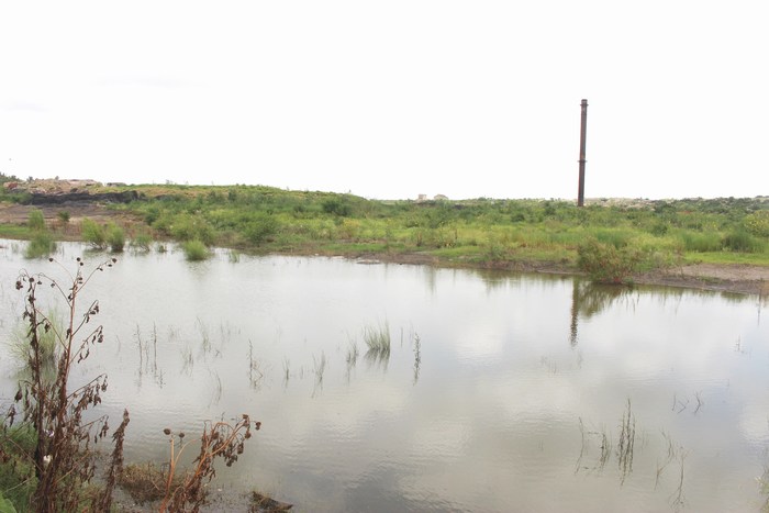 Ajuaa Punto Com Sabinas: Proyectan crear áreas verdes en la villa de ...